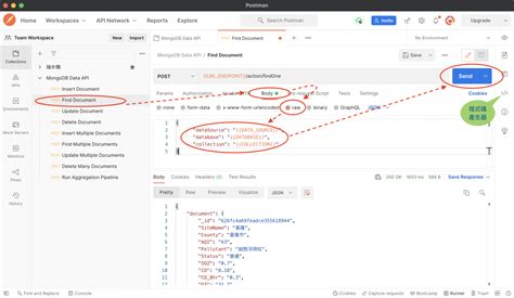 Mongodb Atlas Web Api