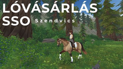 Sso Lóvásárlás {leárazott Connemarák} Youtube