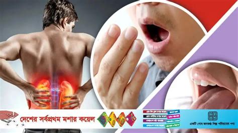 যে লক্ষণ দেখে বুঝবেন আপনার কিডনির সমস্যা হতে পারে