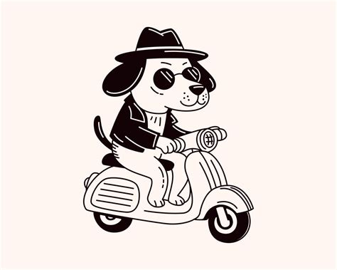 Scutere Electrice Rdb Huși Husi