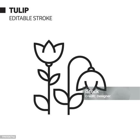 튤립 선 아이콘 윤곽선 벡터 기호 그림 픽셀 완벽 편집 스트로크 0명에 대한 스톡 벡터 아트 및 기타 이미지 0명 개념 꽃 꽃의 구조 Istock