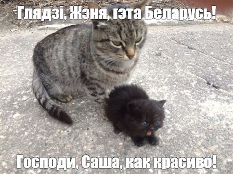 Мем Глядзі Жэня гэта Беларусь Господи Саша как красиво Все шаблоны Meme arsenal