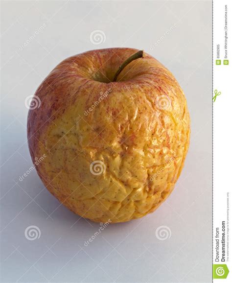 Shriveled Clipart 20 Free Cliparts Download Images On Clipground 2024