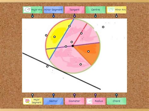 Pp Wordwall Labelled Diagram