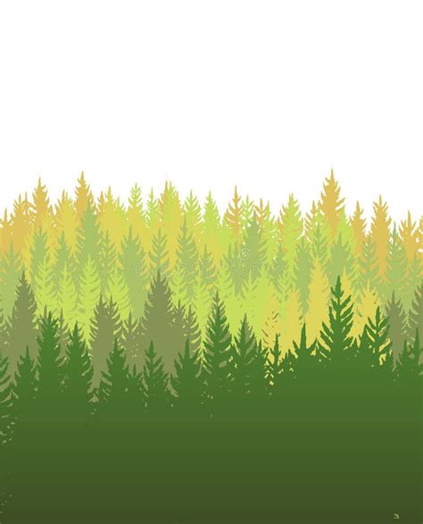 Vector Conifers Coniferous Trees Stock Illustrations 162 Vector