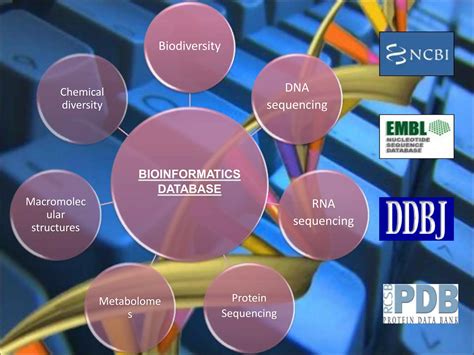 Bioinformatics Its Application Main Ppt