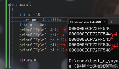 指针的简单介绍 csdn博客