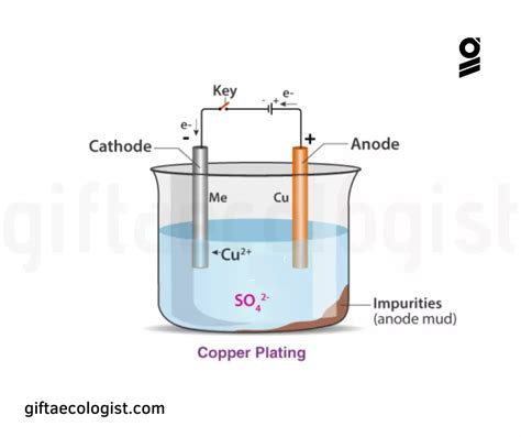The Story Of Electroplating Giftaecologist