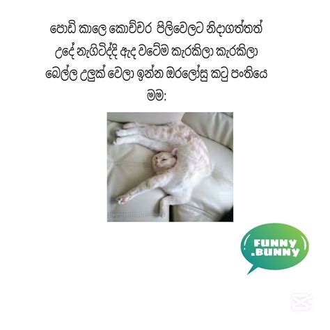 උදේ නැගිටිද්දි කකුල් තියෙන පැත්තෙ ඔලුව😂 Funny Srilanka Meme New Sinhala Comedyshorts Viralshort