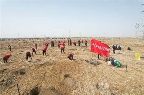 甘州又是一年芳草绿 植树造林正当时 图片新闻 网站新闻 陇萃源