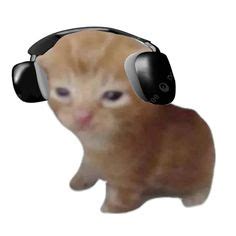 Cat With Headphones