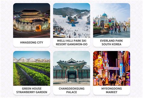 ปีใหม่นี้แพลนเที่ยวต่างประเทศยังไงดีให้คุ้ม 724 Market แหล่งรวมสินค้าออนไลน์ ซื้อได้ 7 วัน