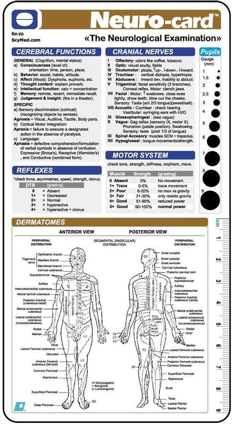 The Neurological Examination Nursing Mnemonics Nursing Notes Medical School Essentials