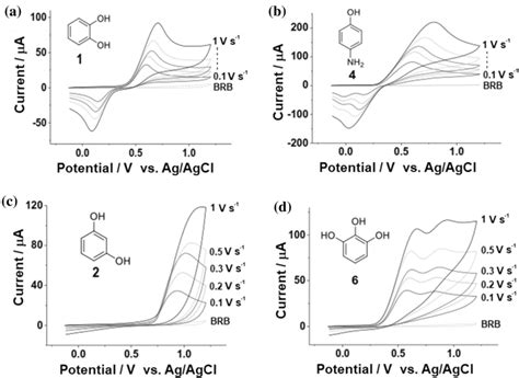 CV Curves In Acetate Buffer PH 4 0 At Different Scan Rates From 0 1