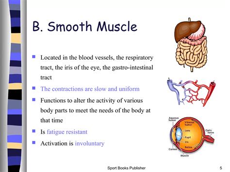 Muscle Structure And Function Ppt Biological Sciences Science