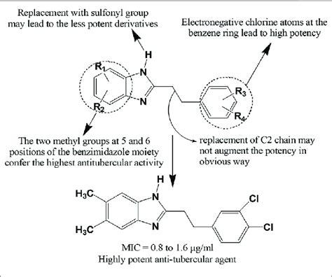 Structure Activity Relationship Sar Of Benzimidazole Derivatives Download Scientific
