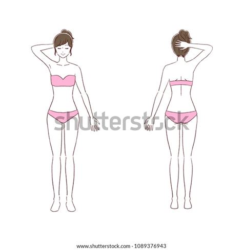 Naked Lady Explanation Stock Vector Royalty Free Shutterstock