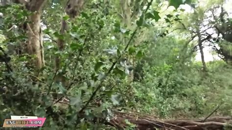 Riskanter Sex In Der Offentlichkeit Eporner