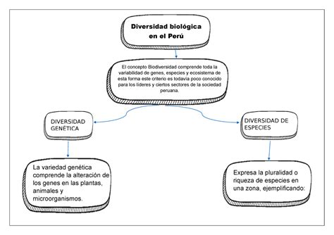 Mapa Conceptual De La Biodiversidad Del Peru Image To U My Xxx Hot Girl