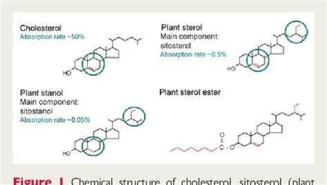 Figure 1 From Controversial Role Of Plant Sterol Esters In The