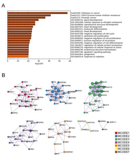 Mutational Characteristics Determined Using Circulating Tumor Dna Analysis In Triple Negative