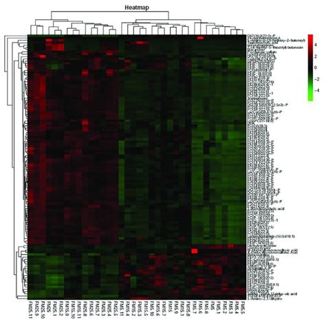 The Heatmap Of The Differential Metabolites Download Scientific