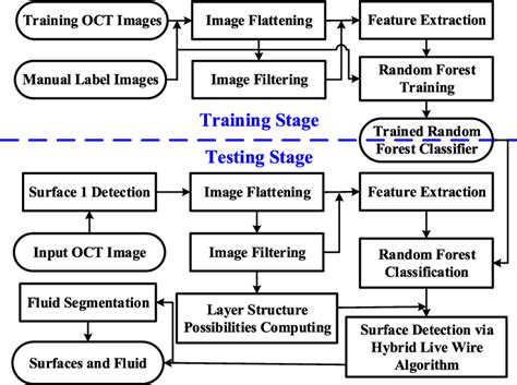 Figure 1 From Automatic Retinal Layer Segmentation Of Oct Images With Central Serous Retinopathy