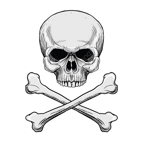 Head Skull With Crossbones In The White Background Skull Drawing