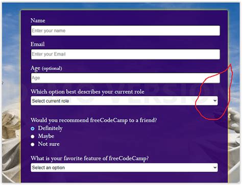 Survey Form Build A Survey Form Html Css The Freecodecamp Forum