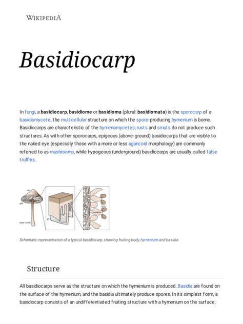 Basidiocarp Wikipedia Pdf Fungus Mushroom Types