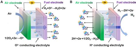 Schematic Diagram Of A Oxygen Ion And B Proton Conduction In A