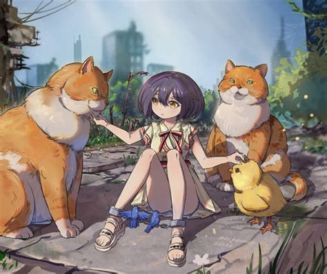 Request OC大福与荒城的大橘猫 KURO