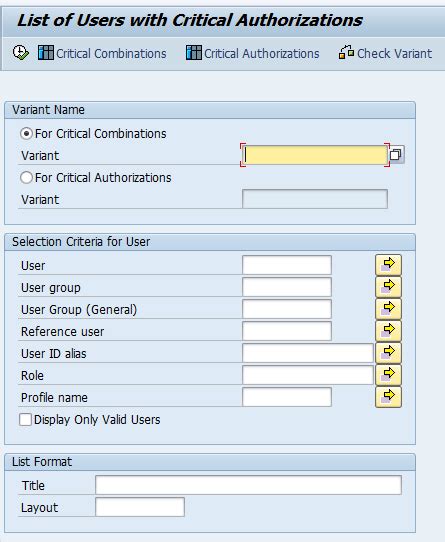 How To Perform Critical Authorizations And SoD Checks In SAP Systems