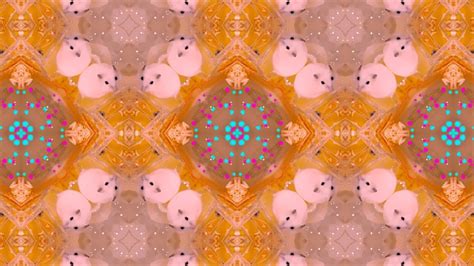 드워프 햄스터 만화경 Youtube