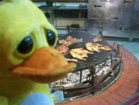 Top Memes De Pato En Español Memedroid