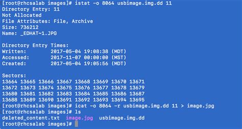 Ways I Found Your Deleted Files By Ally Petitt Medium