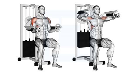 Dumbbell Lateral Raise Guide Benefits And Form