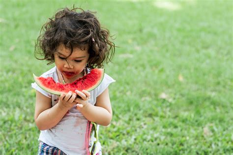 작은 아프리카 곱슬 머리 귀여운 소녀 재생의 초상화 공원에서 녹색 필드에 서있는 동안 행복수박조각을 먹는 과일 식품 및 교육 개념 먹기에 대한 스톡 사진 및 기타 이미지
