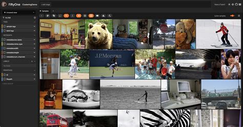 Clustering Images With Embeddings — Fiftyone 180 Documentation