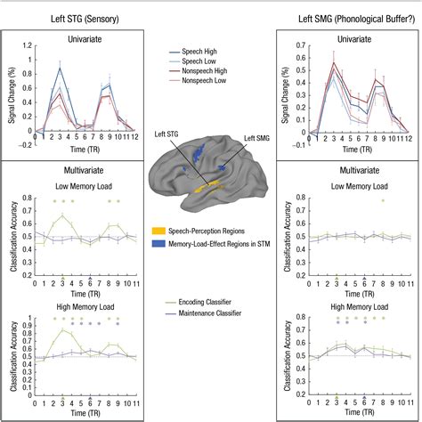 The Dynamic Processing Model Of Working Memory Nathan S Rose 2020