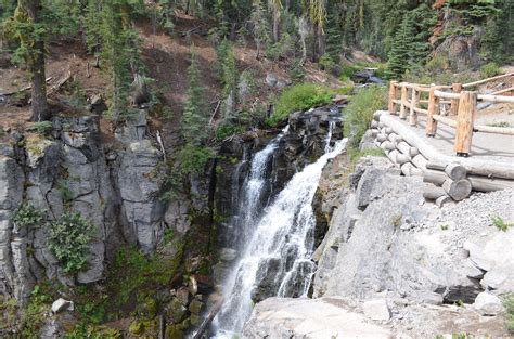 Visualization Of Data With Pie Charts In Matplotlib By Diana