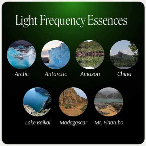Light Frequency Essences Online Workshop Australian Bush Flower Essences