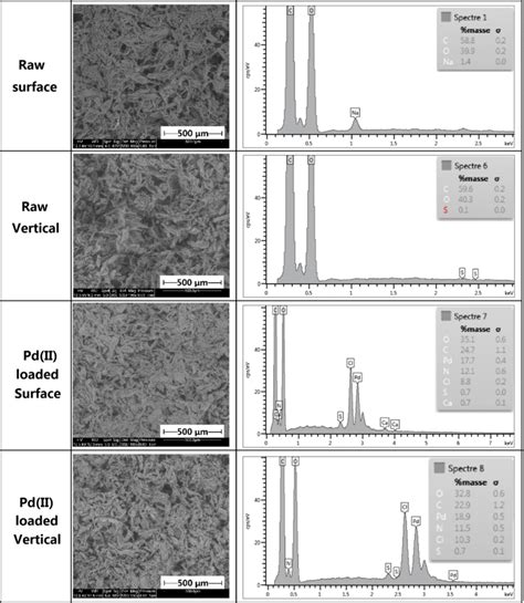 Sem Edx Micrographs Of Raw And Pd Ii Loaded Foams Download Scientific Diagram