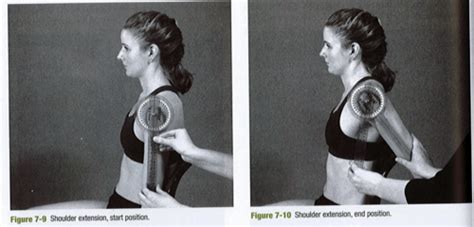 Testing Active Range Of Motion Flashcards Quizlet Testing Active Range Of Motion Flashcards Quizlet
