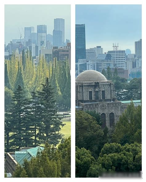 11月秋がいっぱい Fleur De U