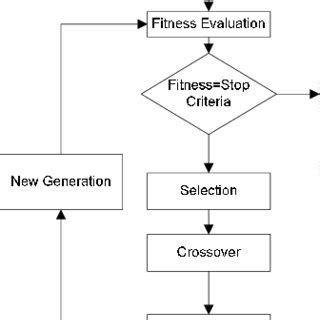 Genetic Algorithm Structure Download Scientific Diagram
