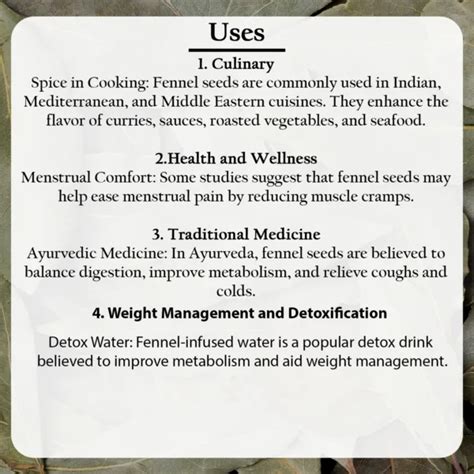 Premium Quality Saunfsompu 100g Kerala Spices