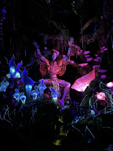 Walt Disney World Tips And Tricks My Wife And I Are Planning A Trip