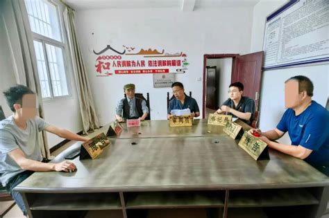打造枫桥式人民法庭元坝法庭以法护家 守护幸福乡镇 澎湃号政务 澎湃新闻 The Paper