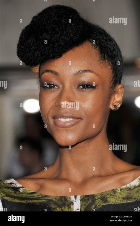 Oct 20 2011 Los Angeles California Usa Actress Yaya Dacosta At